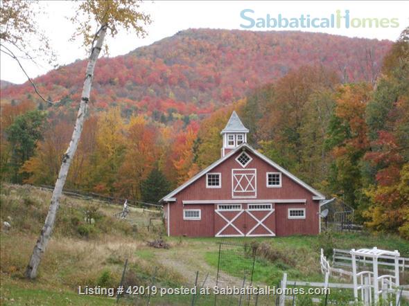 4 bedroom House for rent in Dover listing 42019